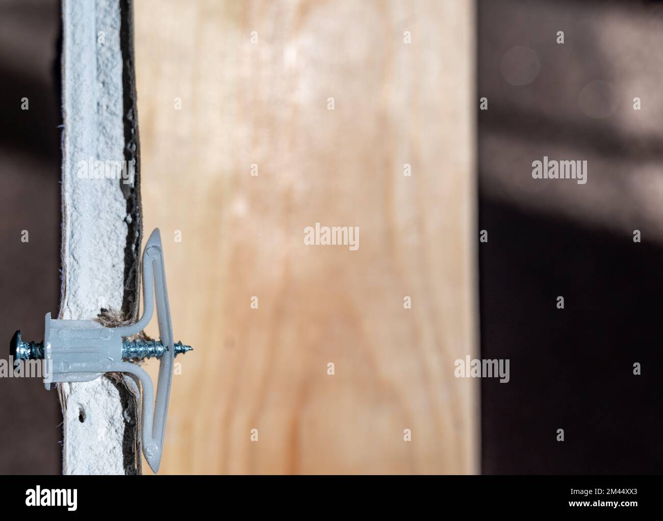 Side view of a drywall mount anchor and screw Stock Photo - Alamy