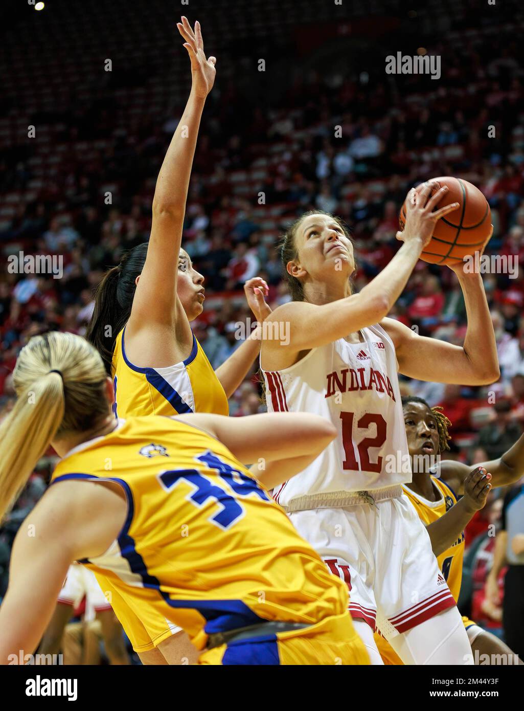 Yarden garzon hi-res stock photography and images - Alamy