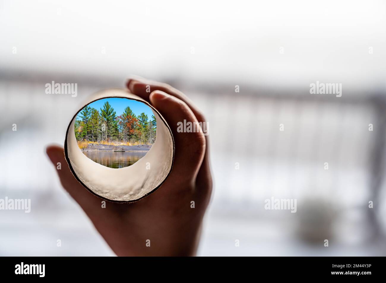 Child holding a cardboard toilet paper tube as a telescope to see ...
