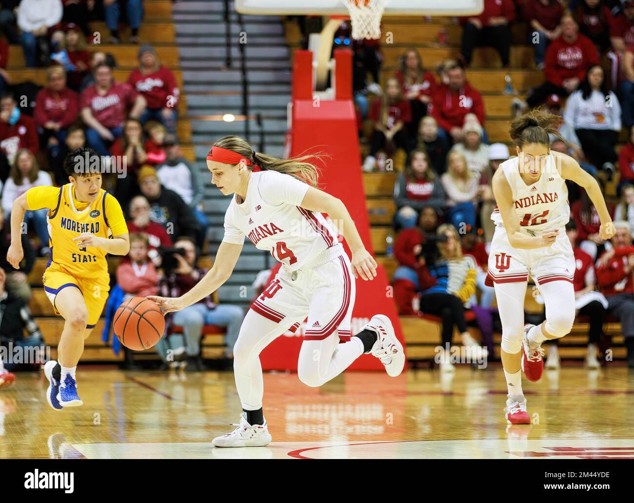 Indiana Hoosiers guard Sara Scalia (14) steals the ball from Morehead ...