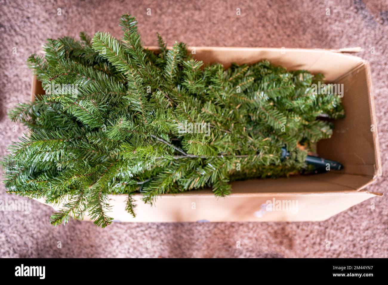 Boxed artificial Christmas tree before or after seasonal setup for ...