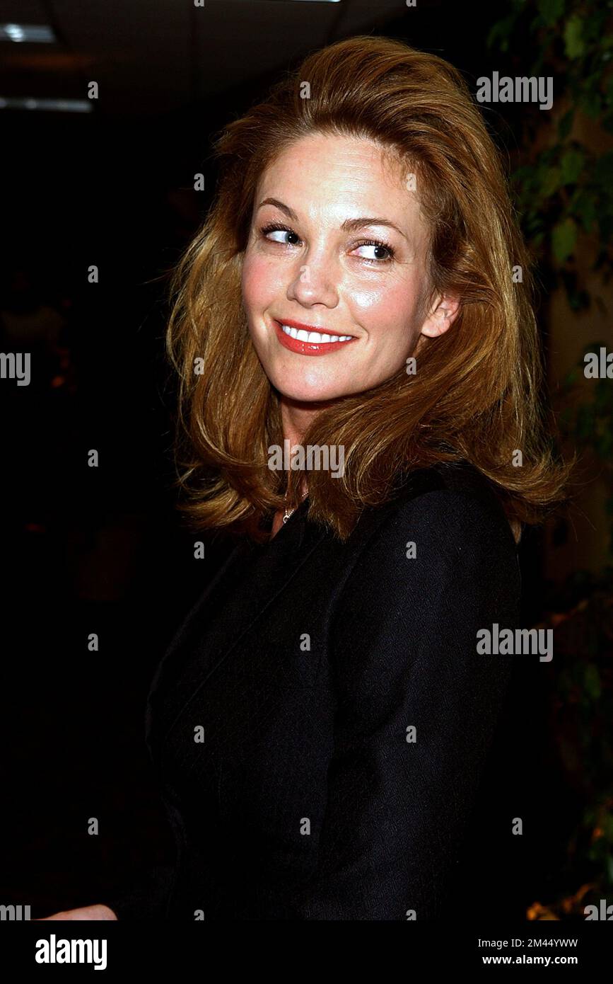 Diane Lane at the 2003 Women in Film Crystal Awards Credit: Ron Wolfson ...