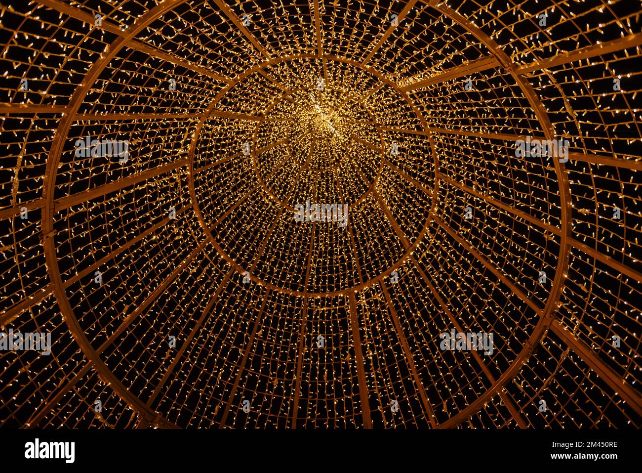 beautiful background lighting, view of christmas tree lights from below ...