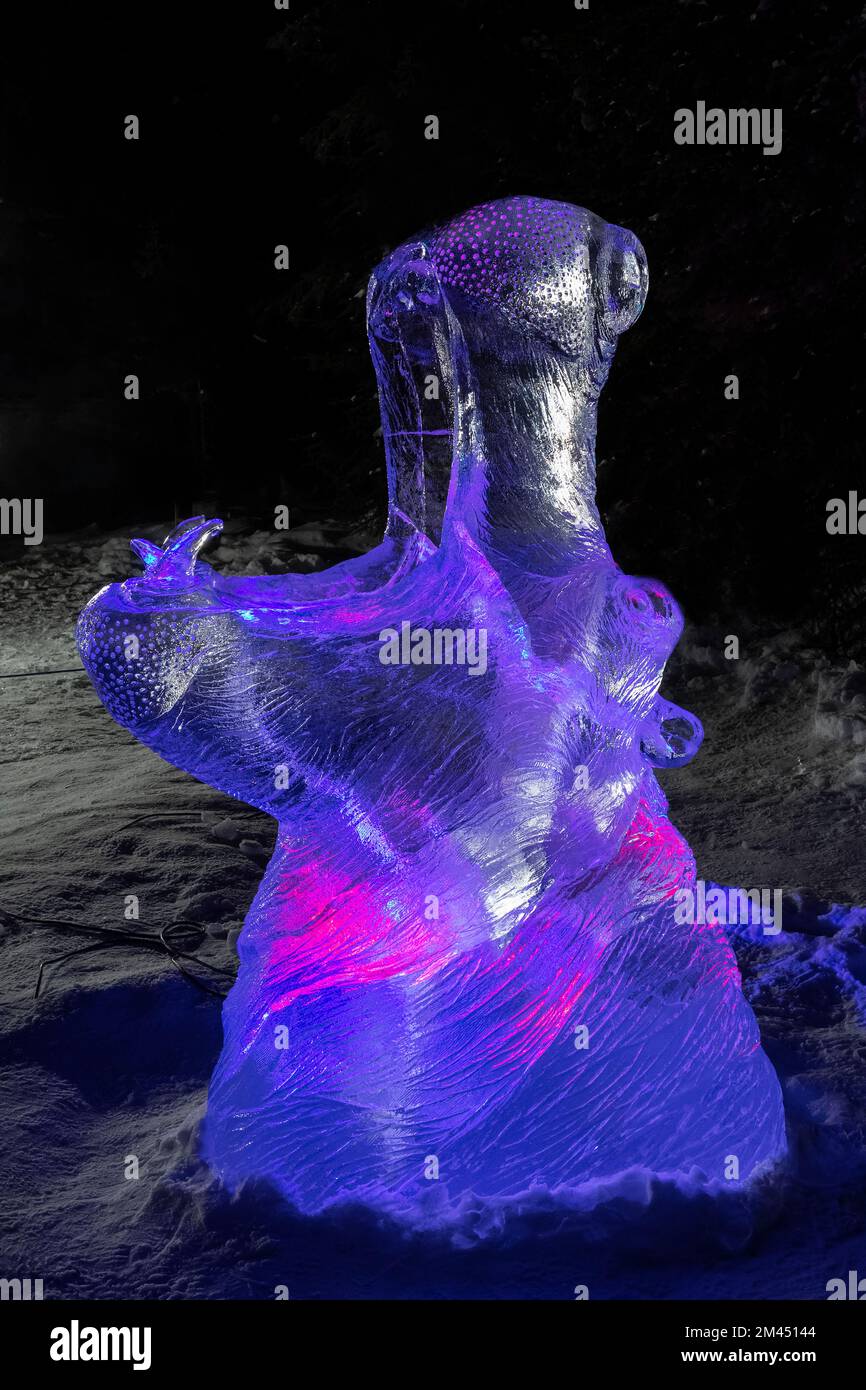 North America; United States; Alaska; Fairbanks; Winter; Festivals; Ice ...