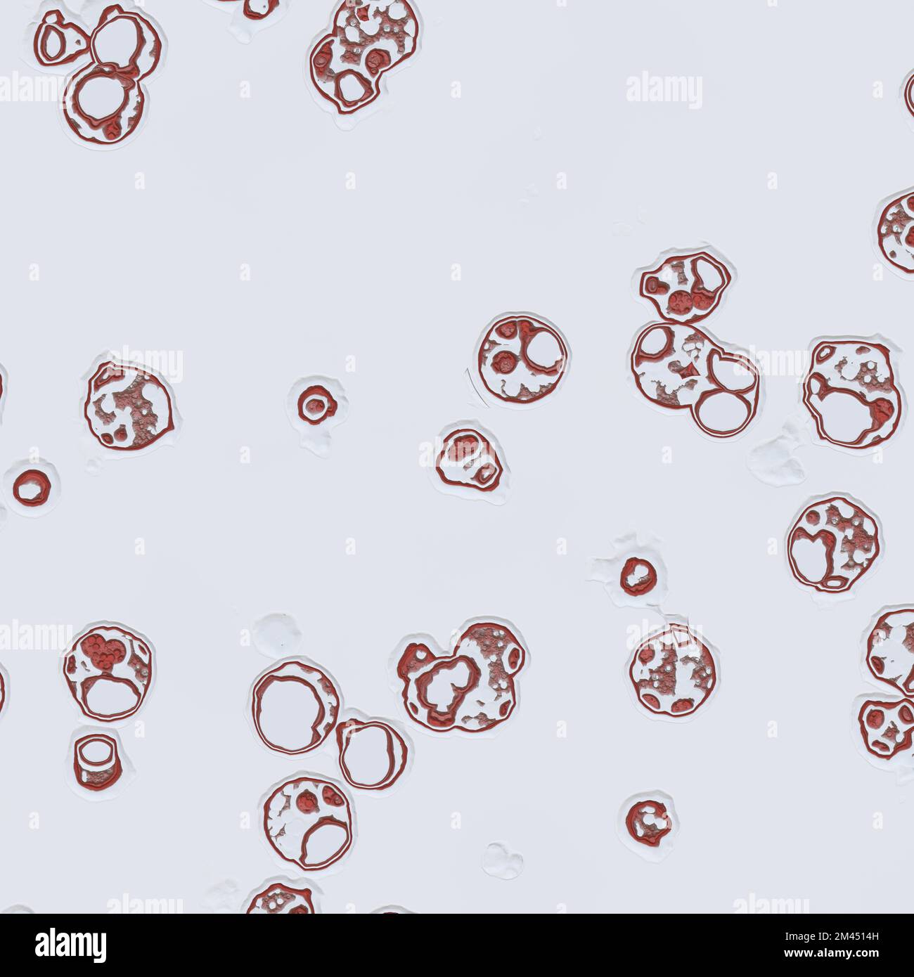 Abstract cell of virus or pathogenic bacterium under microscope ...