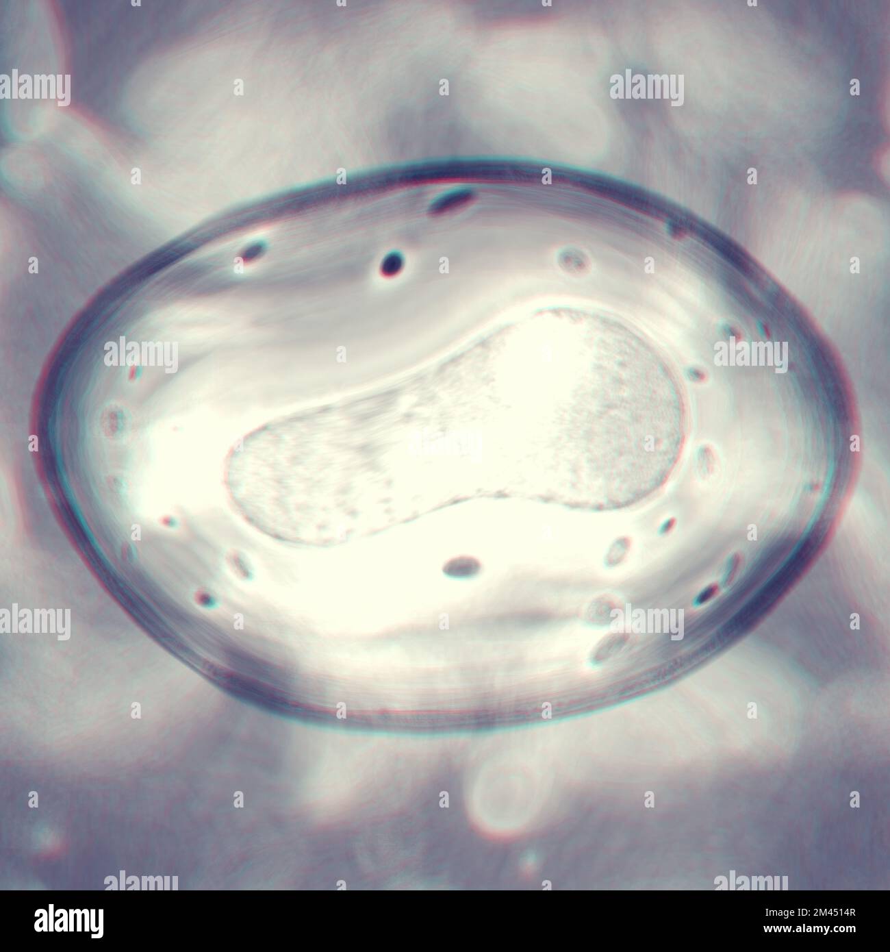 Abstract cell of virus or pathogenic bacterium under microscope ...