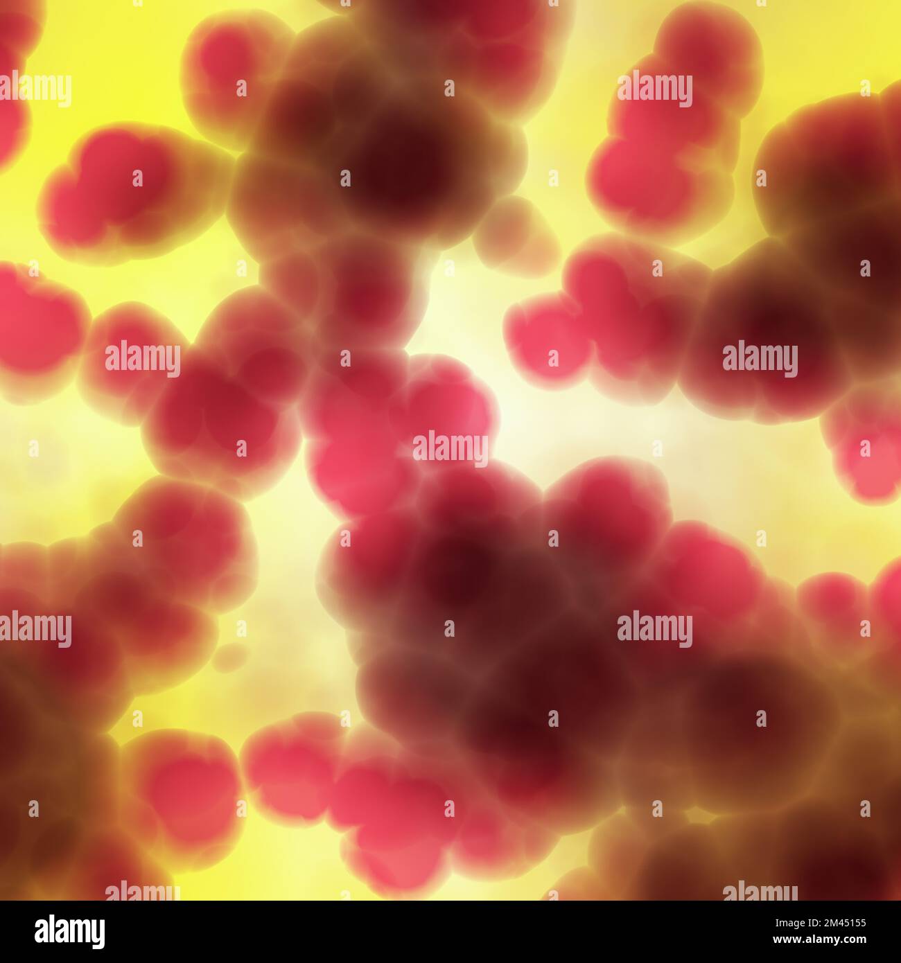 Biofilm microscope hi-res stock photography and images - Alamy