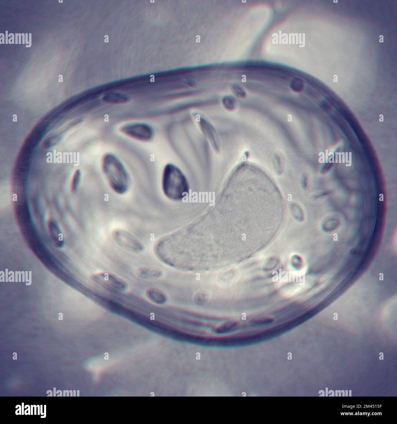 Abstract cell of virus or pathogenic bacterium under microscope ...