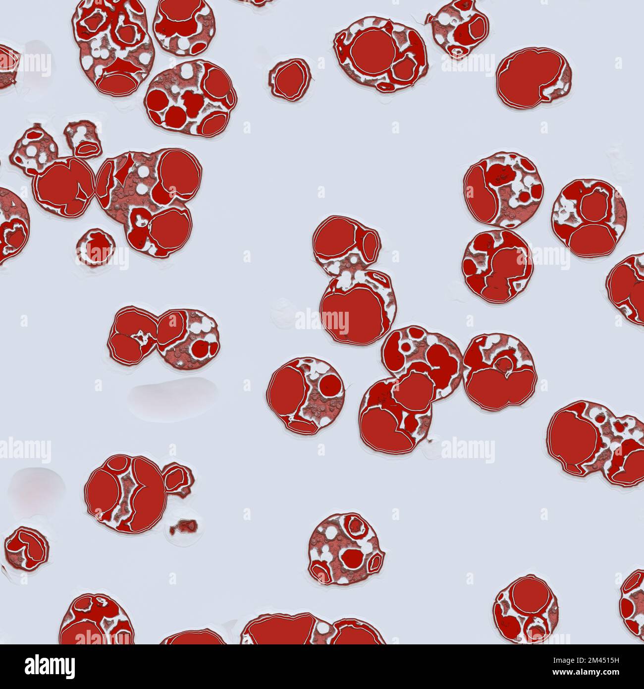 Abstract cell of virus or pathogenic bacterium under microscope ...