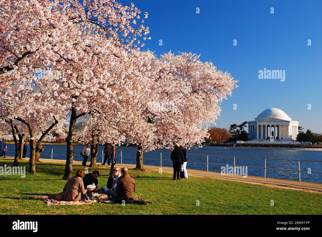 Picnic cherry blossoms hi-res stock photography and images - Alamy