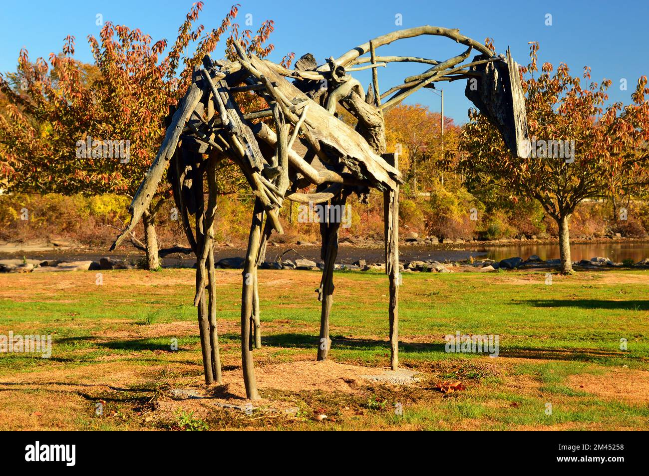 Deborah Butterfield Valentine's sculpture Orson stands in Bruce Park ...