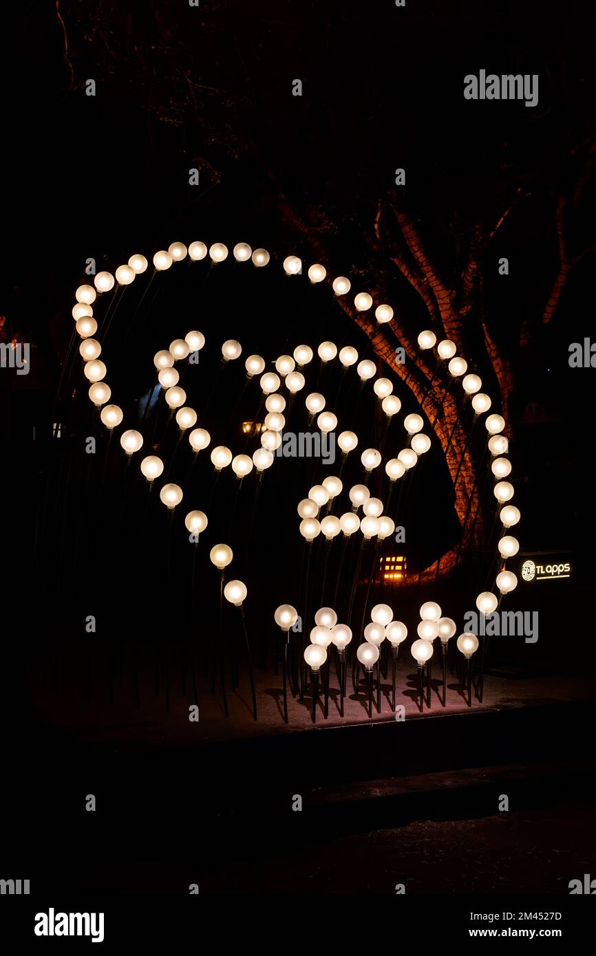 skull formed by several illuminated light bulbs in the shape of a skull ...