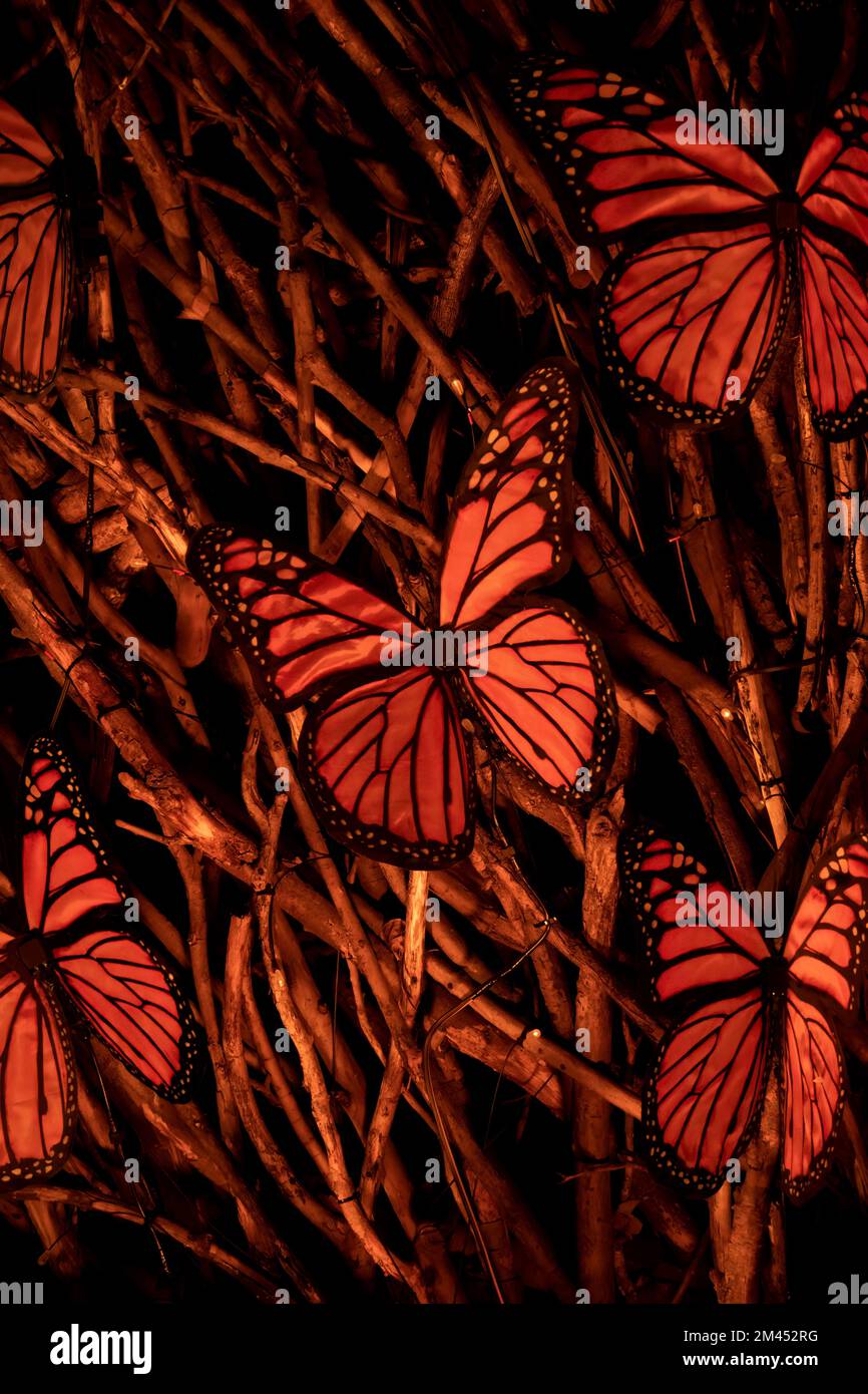 butterfly detail placed on branches at night with warm light ...