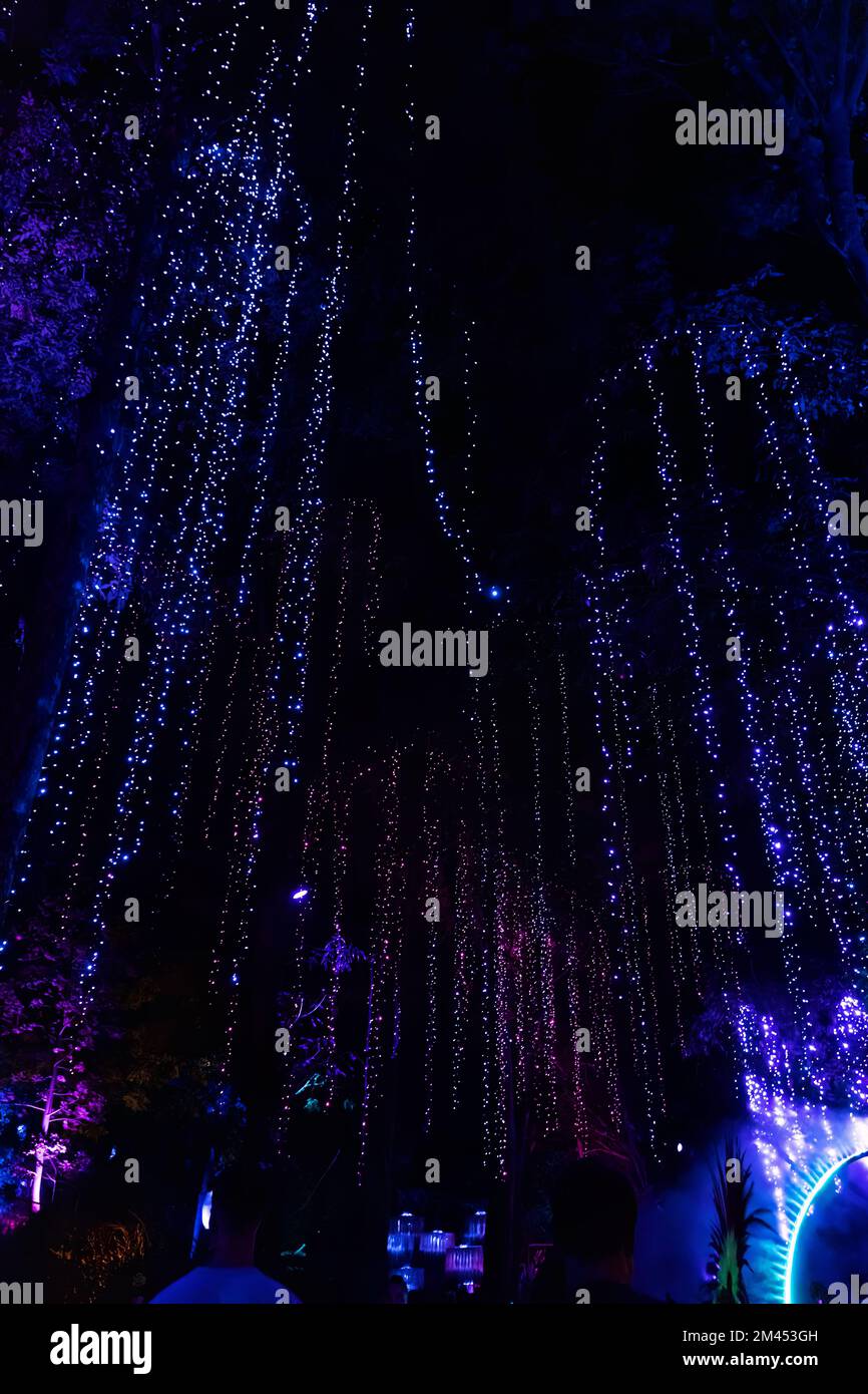 neon lights hanging from trees illuminating the space in pink and blue ...