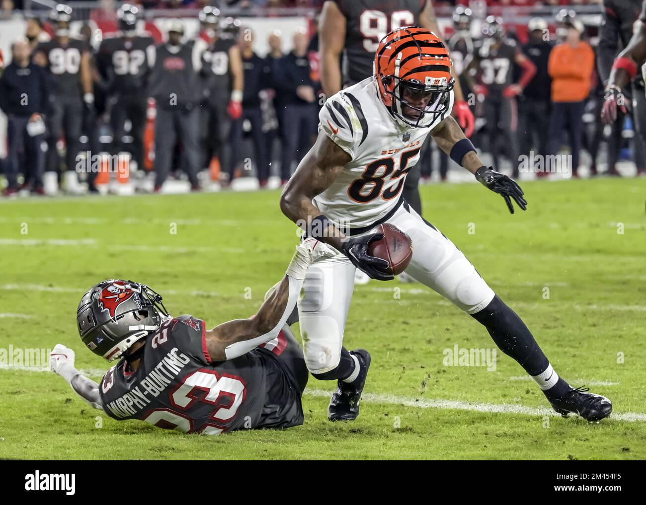 Tampa, United States. 18th Dec, 2022. Cincinnati Bengals wide receiver ...
