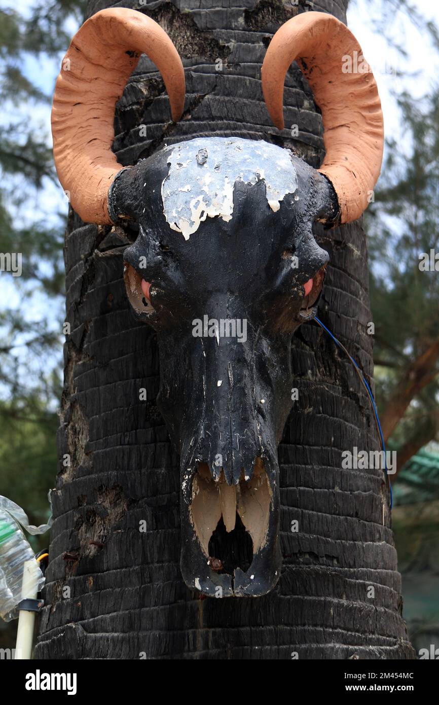 Malima Laggon Cabanas in Sri Lanka Stock Photo - Alamy