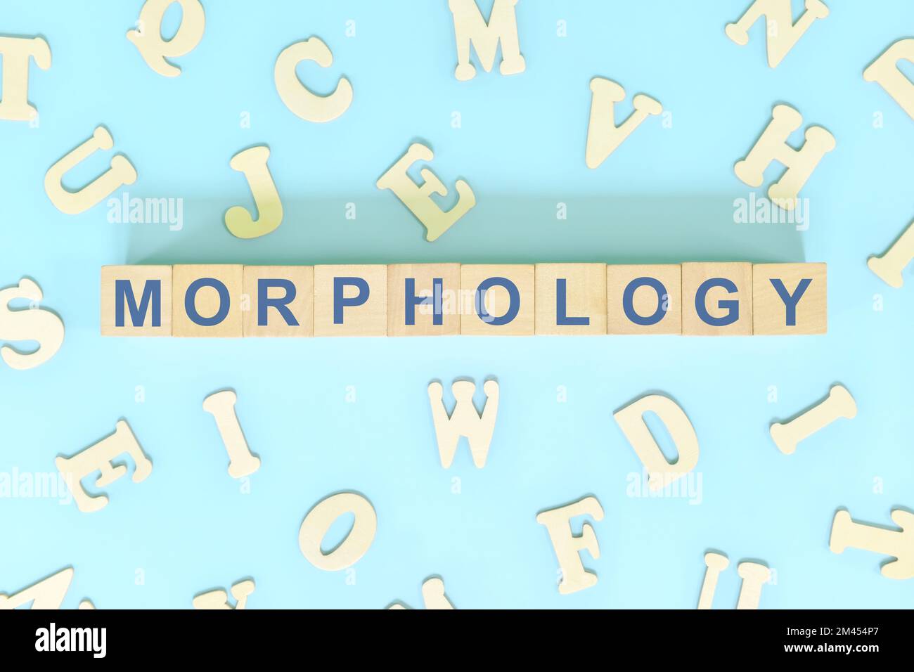 Study morphology in linguistics concept. Wooden blocks word typography ...