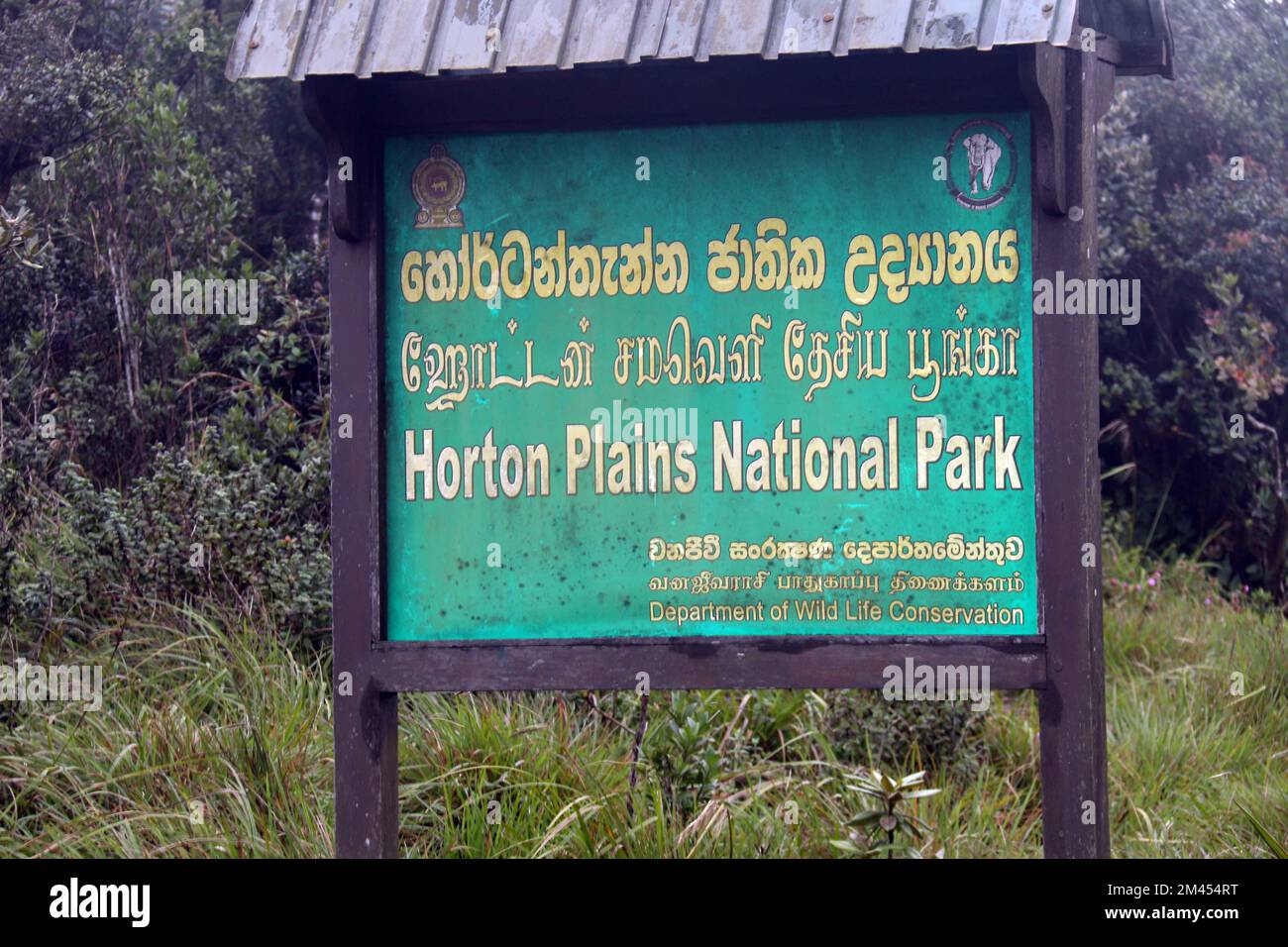 Hill country in Sri Lanka, Visit Sri Lanka Stock Photo - Alamy