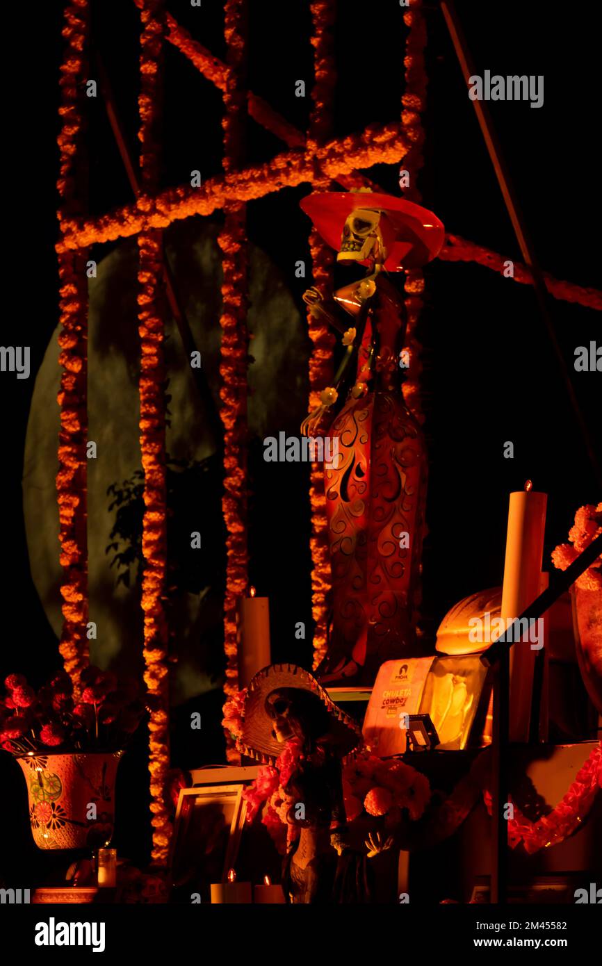 skull dog for the day of the dead with his bowl of food Stock Photo - Alamy