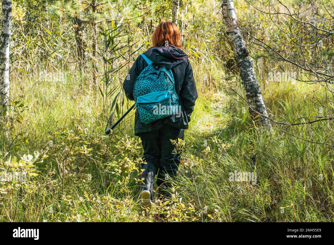 Girl walks in woods. Woman walks through wilderness. Travel in national ...