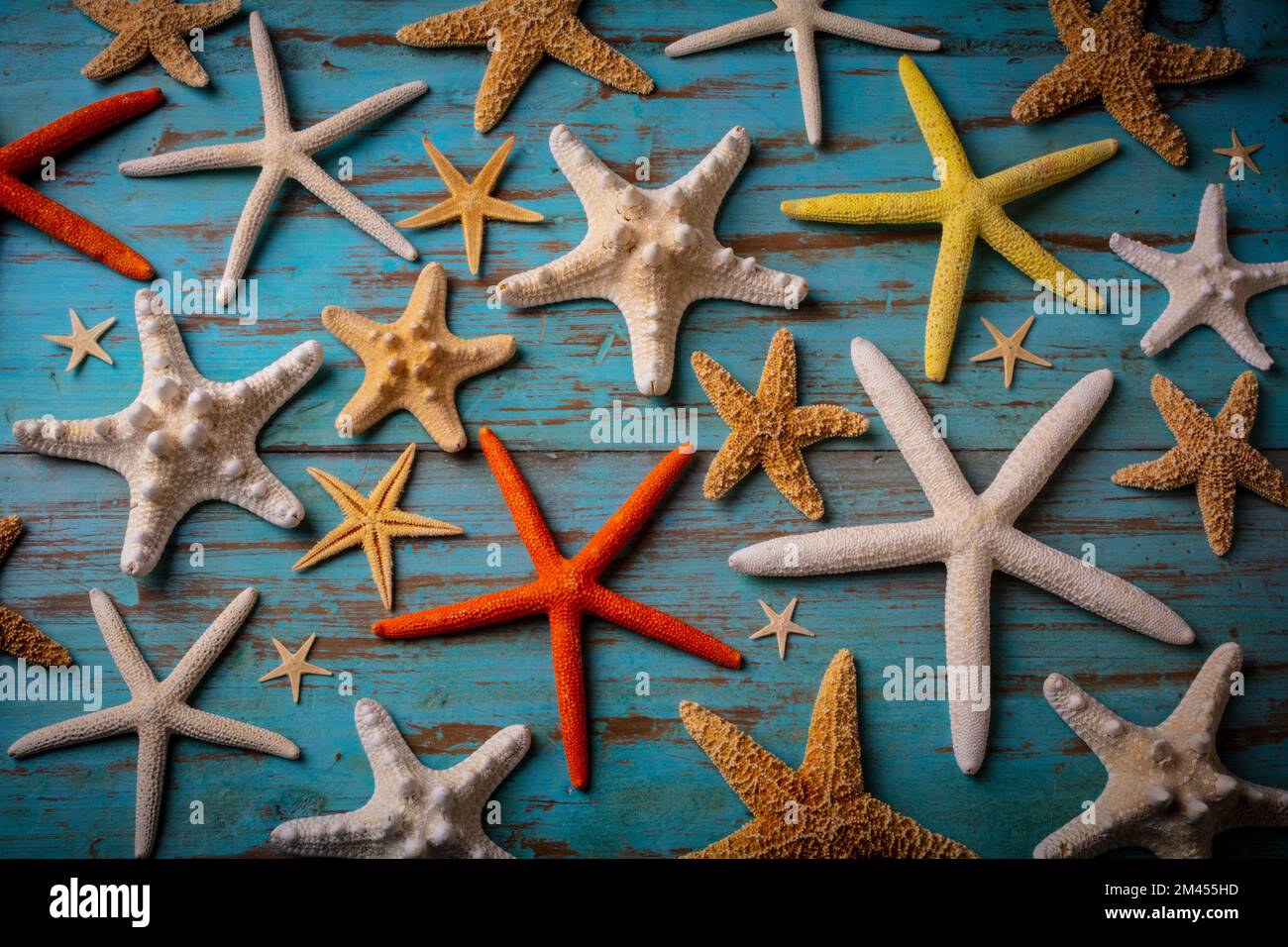 Map and starfish hi-res stock photography and images - Alamy