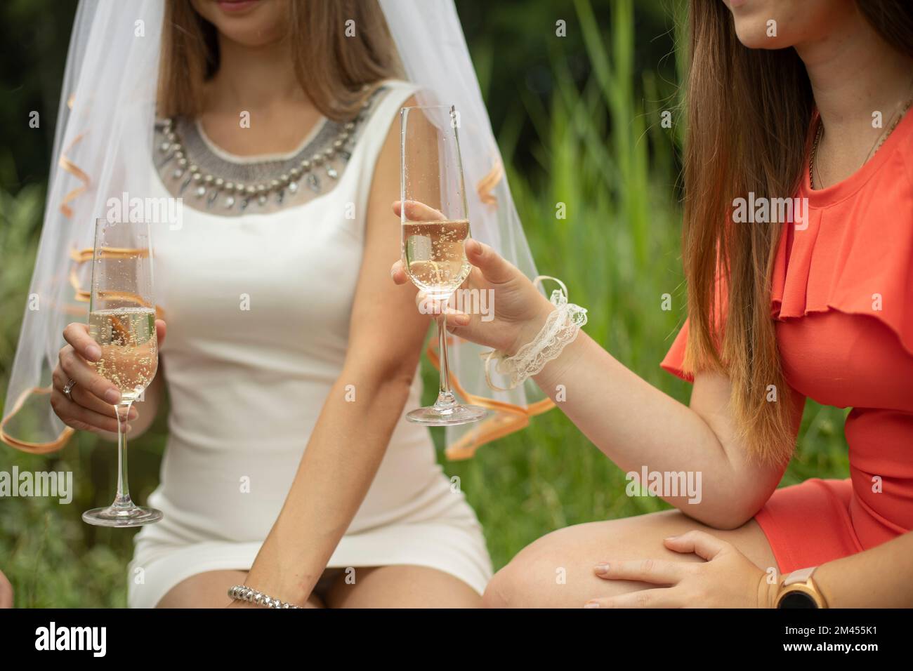 Girls drinking from glasses. Picnic in nature. Bridesmaids drink ...
