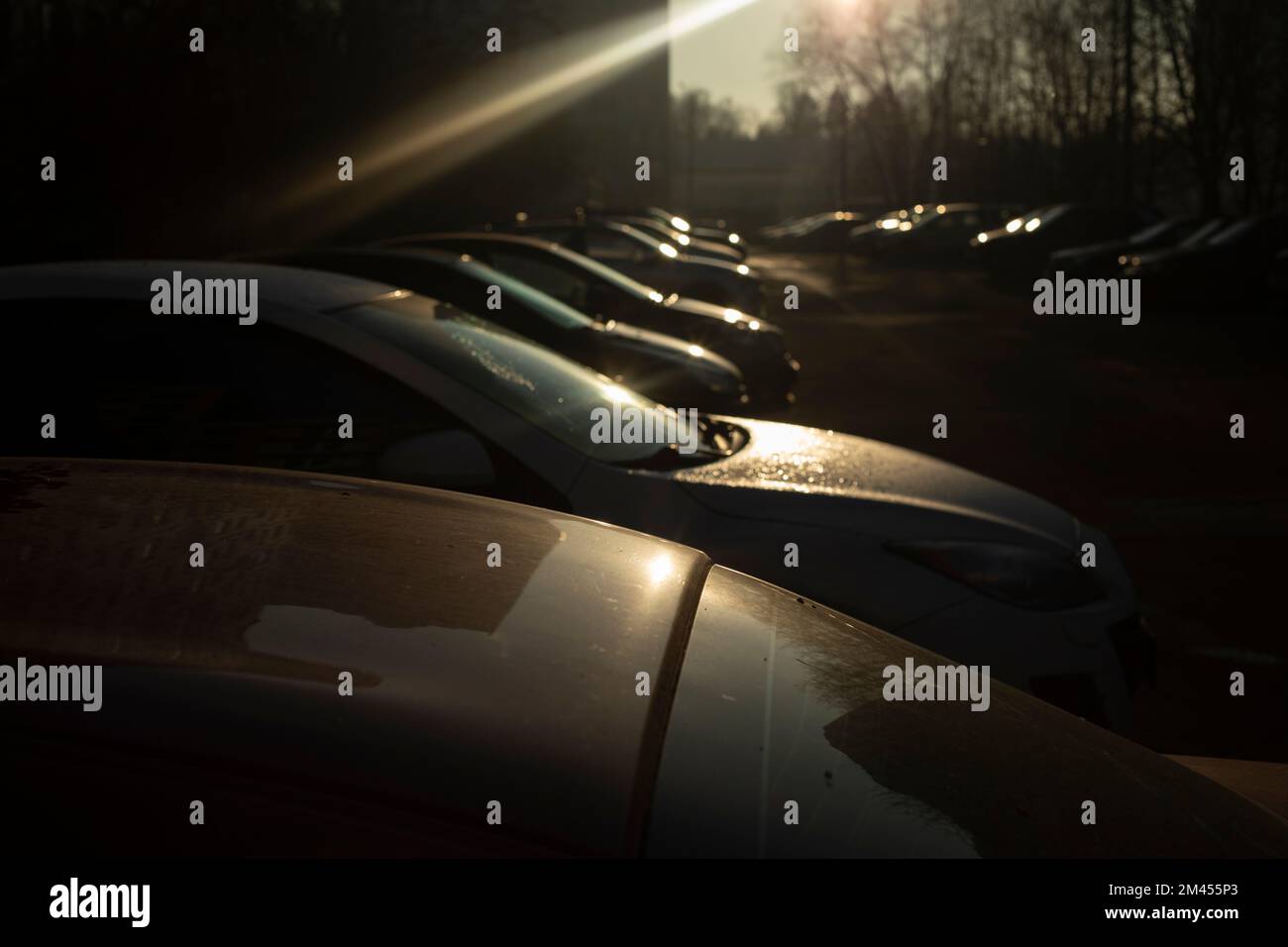 Parking in city. Parking light. Cars in yard. Cars stand in row Stock ...