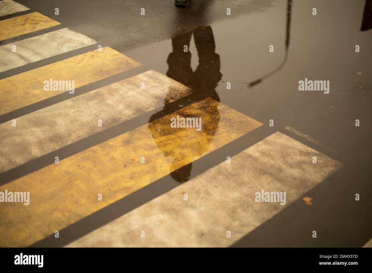 Pedestrian crossing across road in rain. Road markings for pedestrians ...