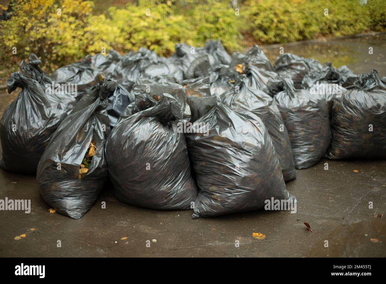 Full lawn bags hi-res stock photography and images - Alamy