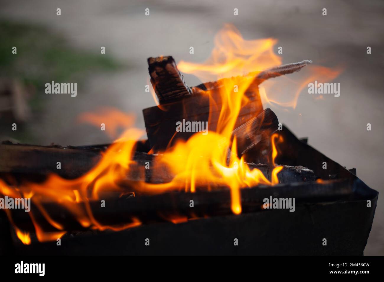 Bonfire of branches. Combustion of wooden materials. Yellow flame ...