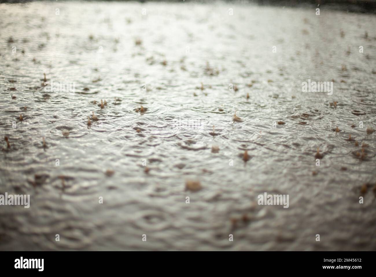 Raindrops on puddle hi-res stock photography and images - Alamy