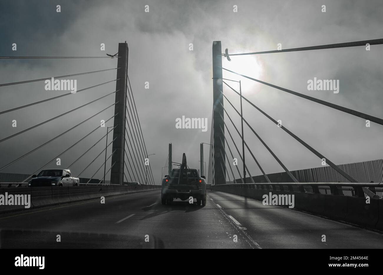 Suspension bridge. Golden Ears Bridge with traffic at foggy morning ...