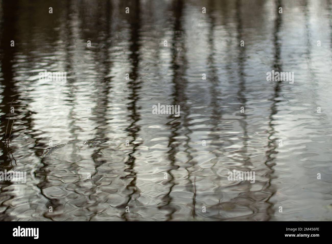 Water in spring. Waves on surface. Spring puddle. Details of nature ...