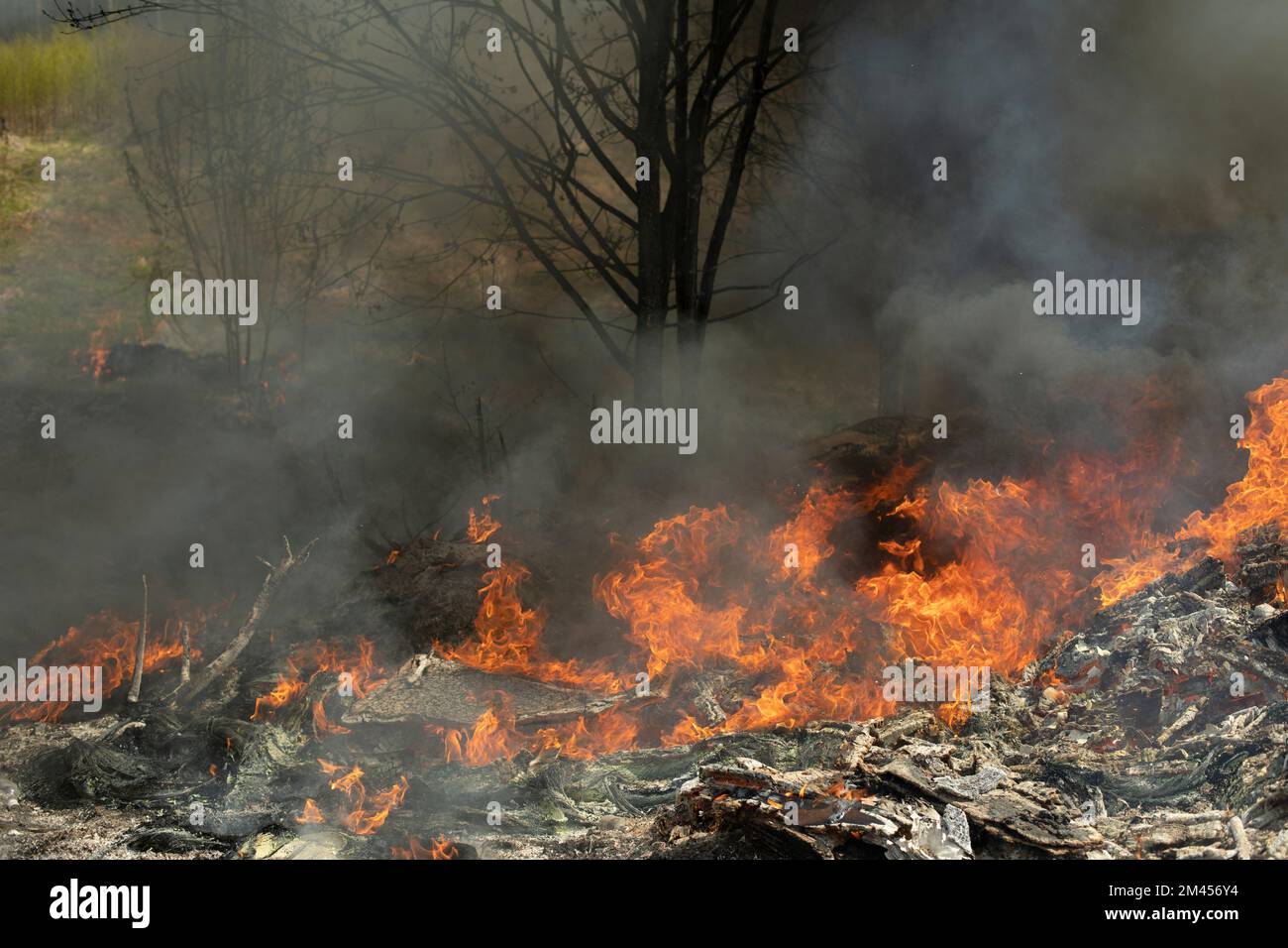 Fire and black smoke. Fire in landfill. Smoke in forest. Illegal ... Fire and black smoke. Fire in landfill. Smoke in forest. Illegal ...