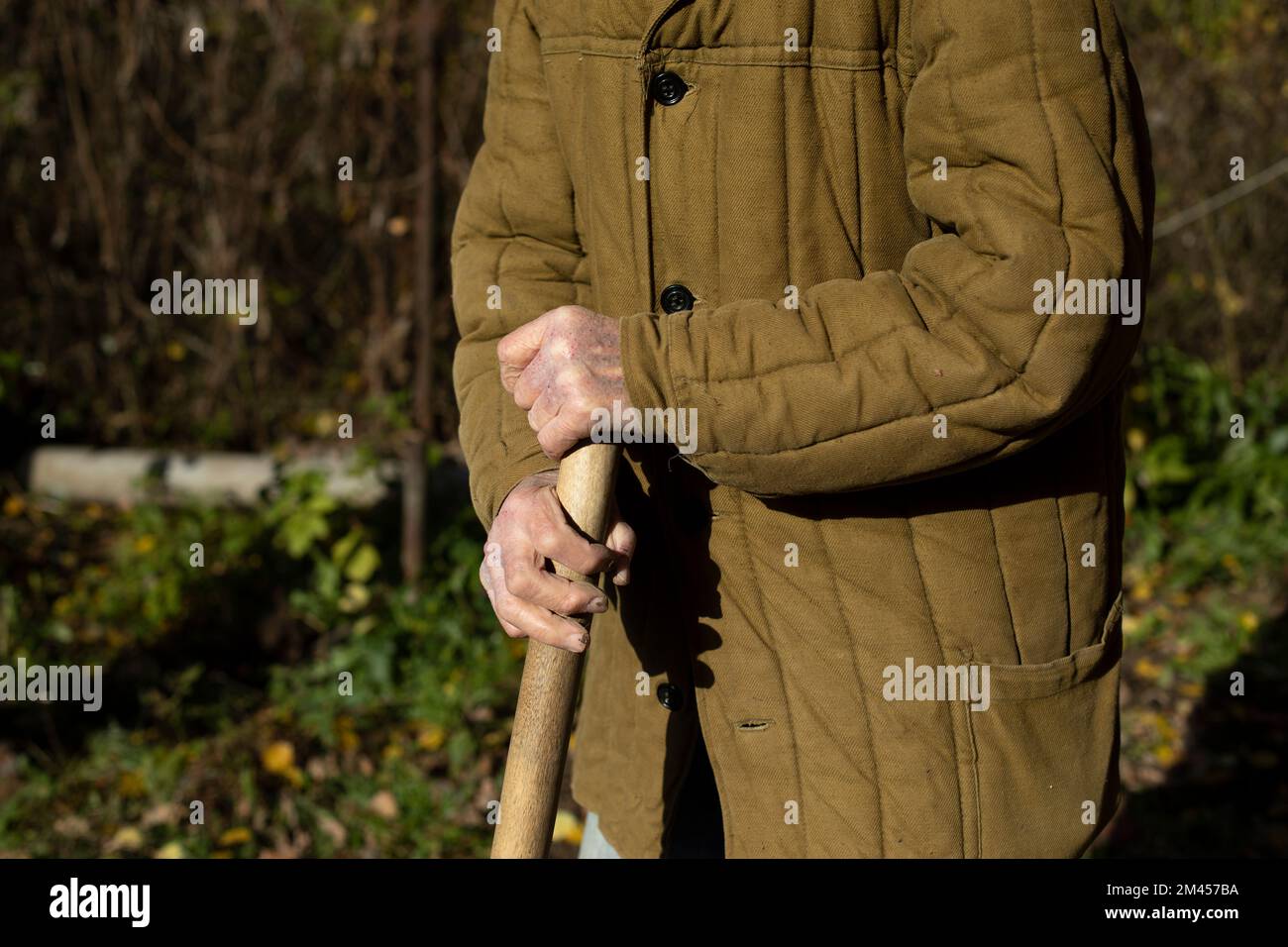 Old man's hands. Old man holding stick. Poor clothes. Elderly person ...