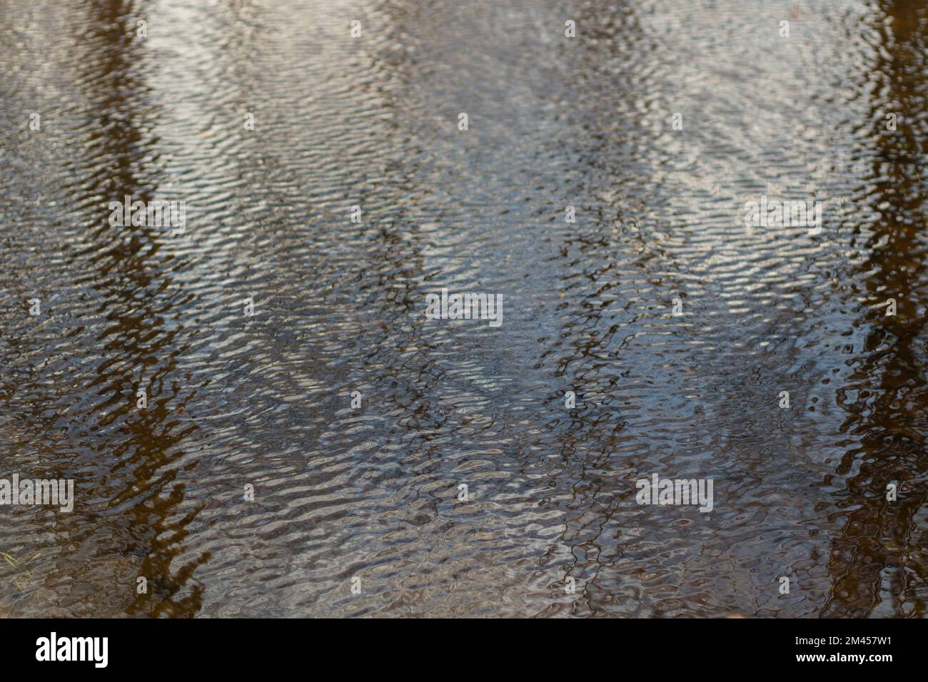 Waves on water. Wind on surface of water. Reflection in puddle. Details ...