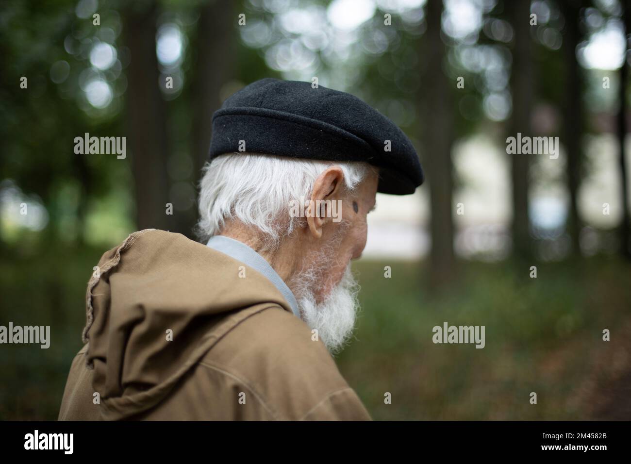 Wisdom walks hi-res stock photography and images - Alamy