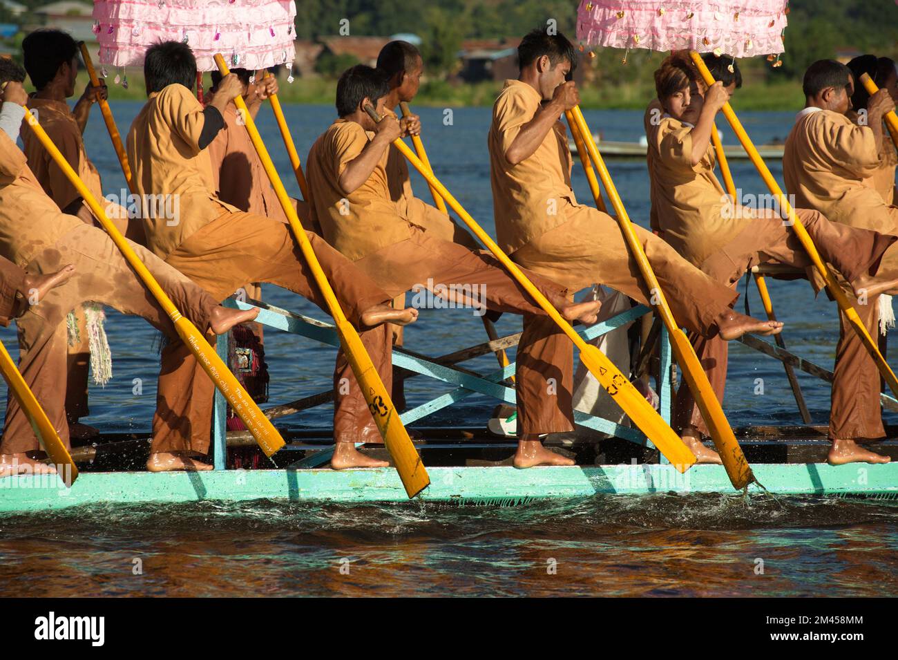 Peoples paddle by legs on the procession in Phaung Daw Oo Festival ...