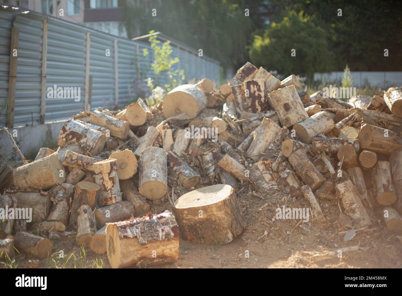 Sawn wood. Wood stumps. Heap of logs. Dry fuel. Sawmill parts Stock ...