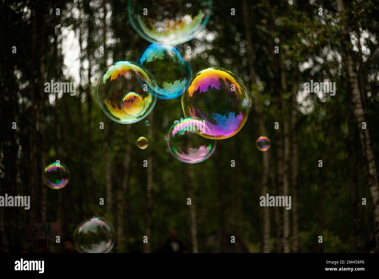 Soap bubbles fly through air. Balloons on background of forest. Soap ...