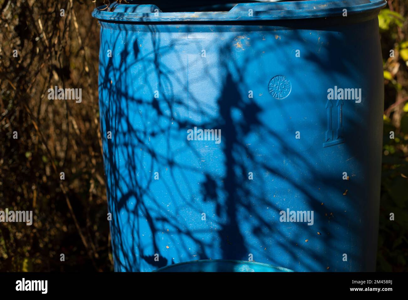 Blue water barrel in garden. Blue barrel and shade from plants. Plastic ...