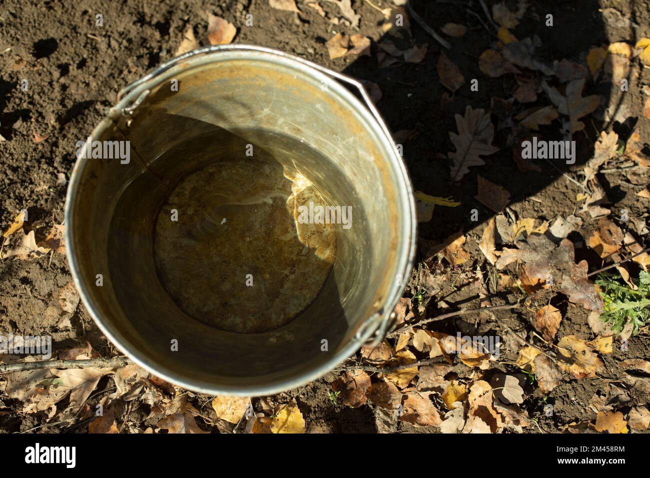 Bucket of water in garden. Steel bucket. Water for watering plants ...