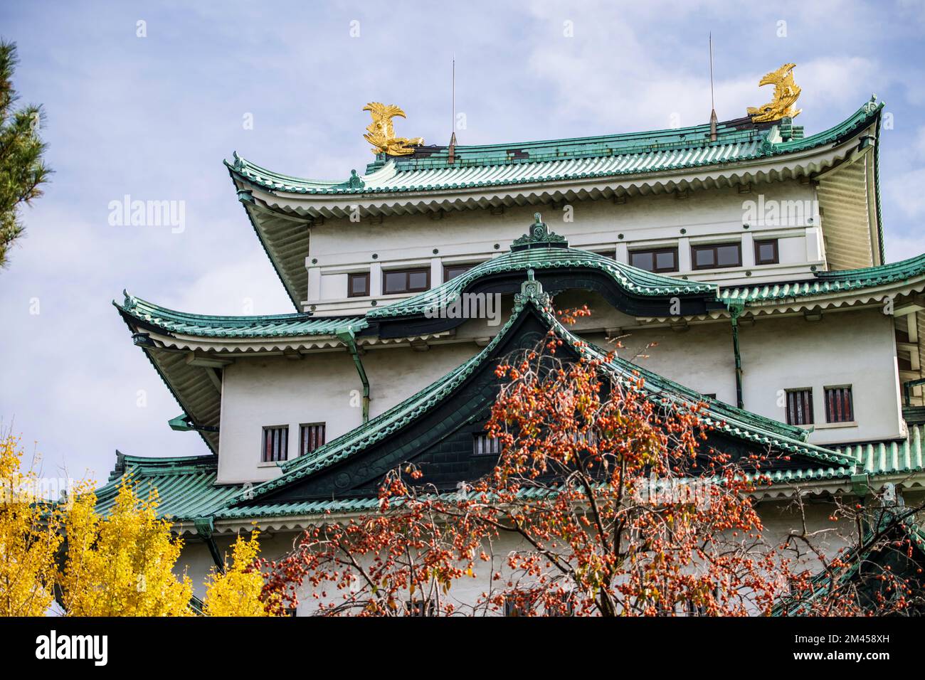 Nagoya Castle, Nagoya, Japan Stock Photo - Alamy
