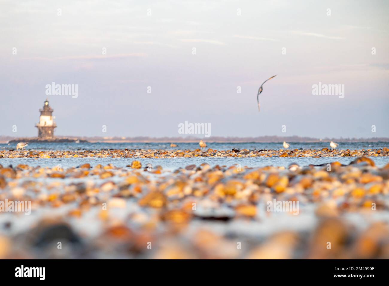 Plum island point hi-res stock photography and images - Alamy