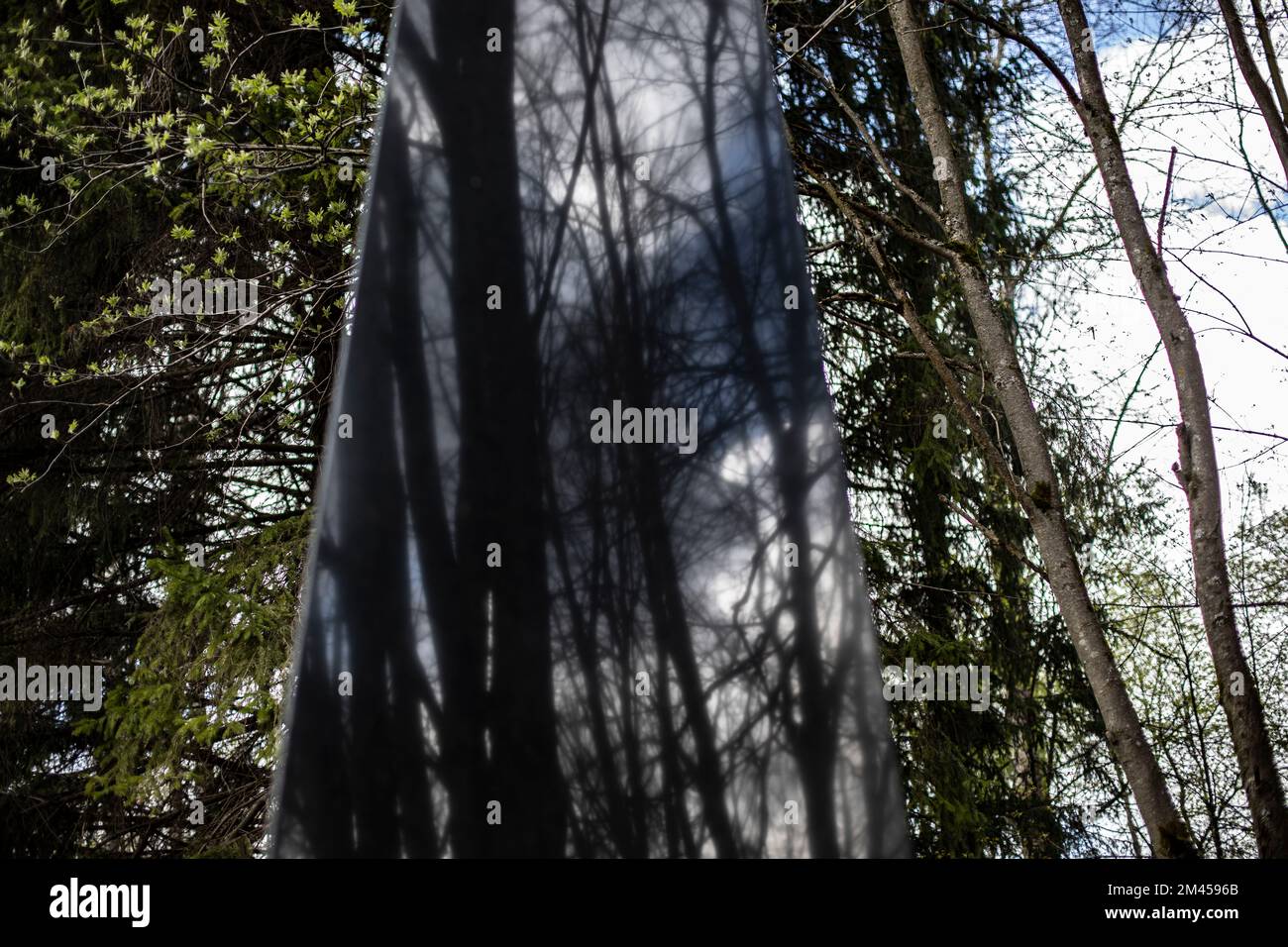Obelisk of granite against background of forest. Place of military ...