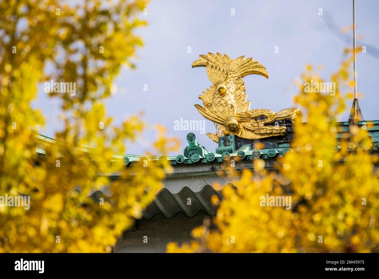 Nagoya Castle, Nagoya, Japan Stock Photo - Alamy