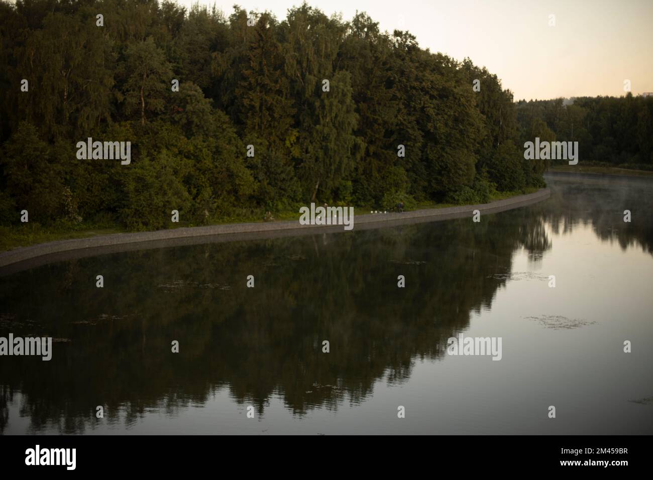 Lake in city. Pond in evening. Natural object in park. Forest ...