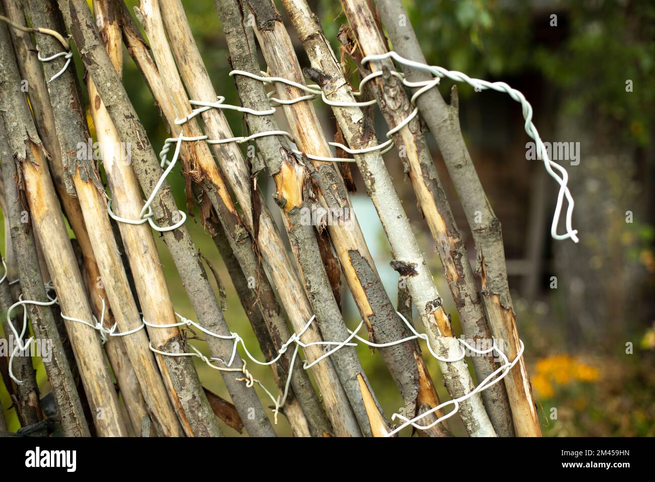 Row of bamboo sticks hi-res stock photography and images - Alamy