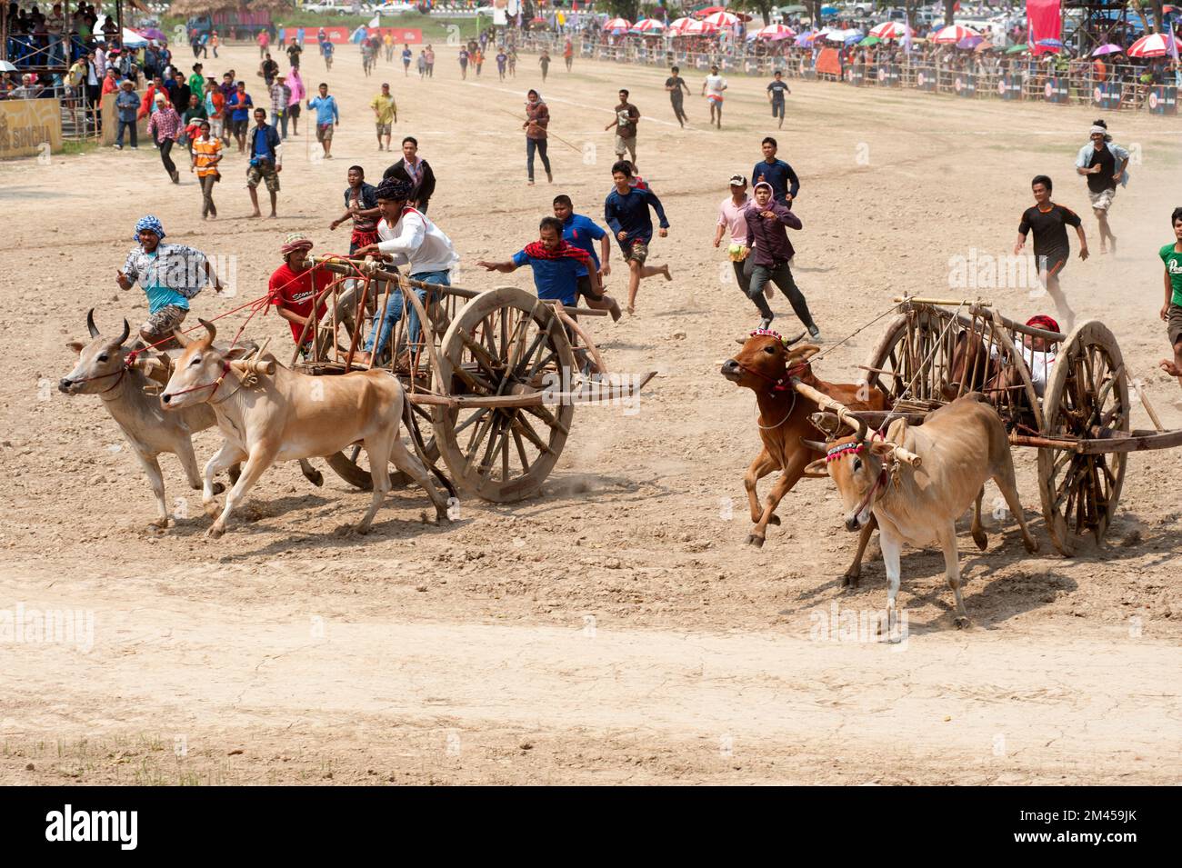 The Ox Cart Festival celebrates an agricultural custom and is an ...