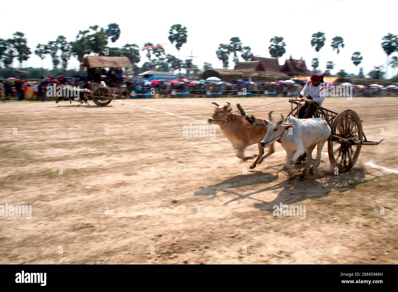 The Ox Cart Festival celebrates an agricultural custom and is an ...
